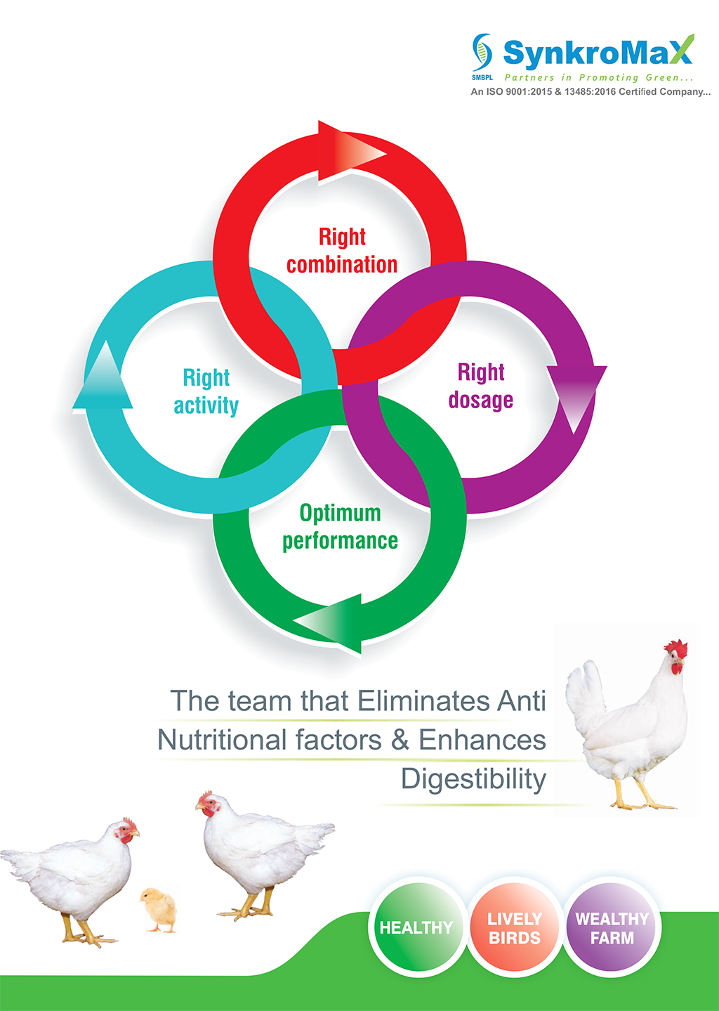 Synkromax Biotech - Tea Enzymes